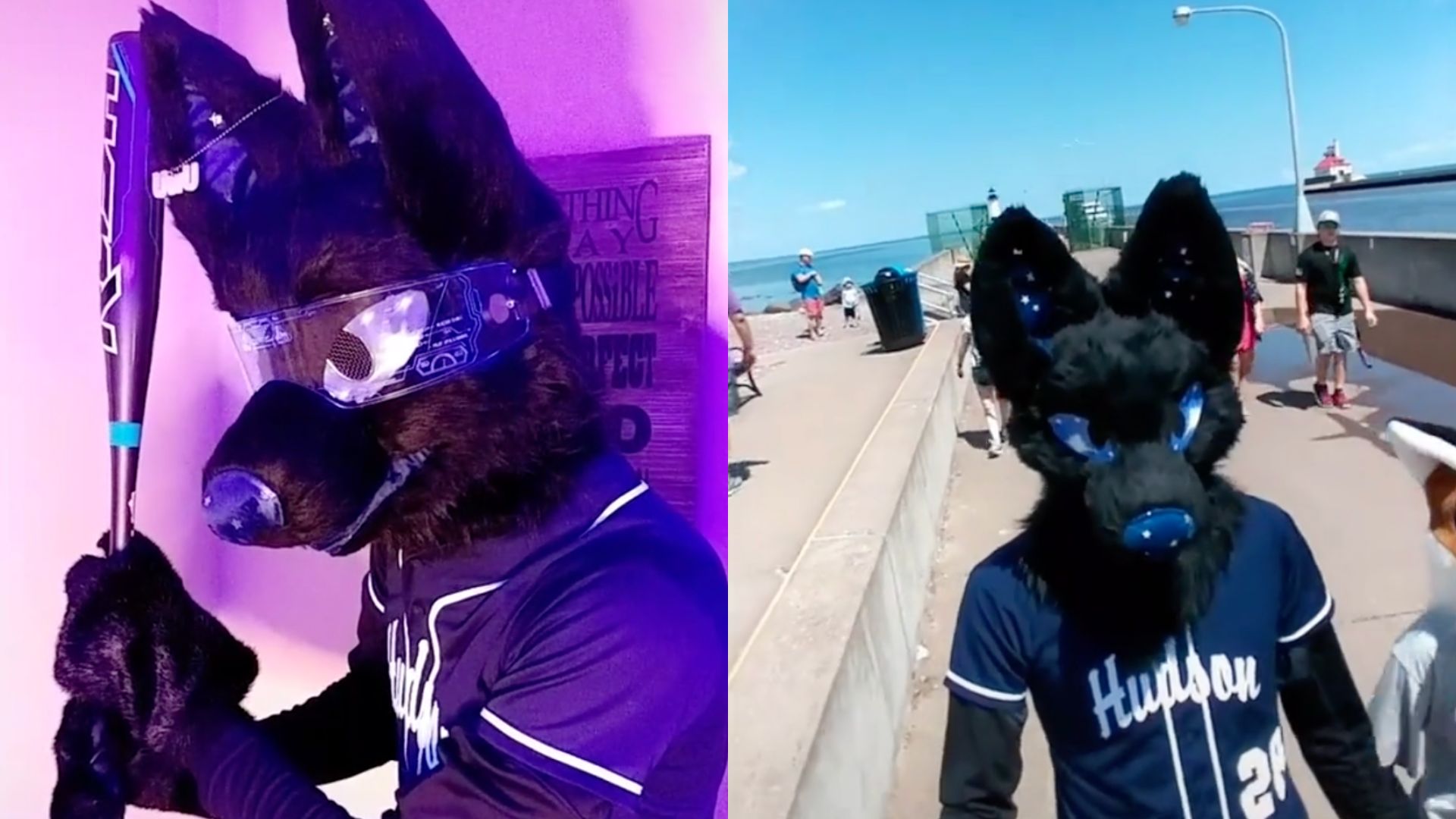 "Furry" Indicted On Human Trafficking Charges, Allegedly Forced A Woman ...