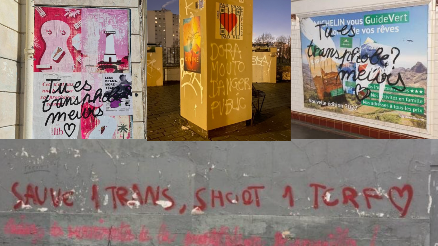 FRANCE: Criminal "Misgendering" Complaint Filed Against Women's Rights ...