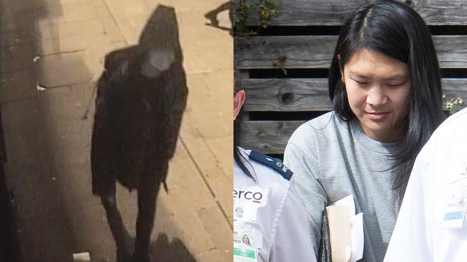 UK: Sadistic Trans-Identified Male On Trial For Murder Had Previously ...