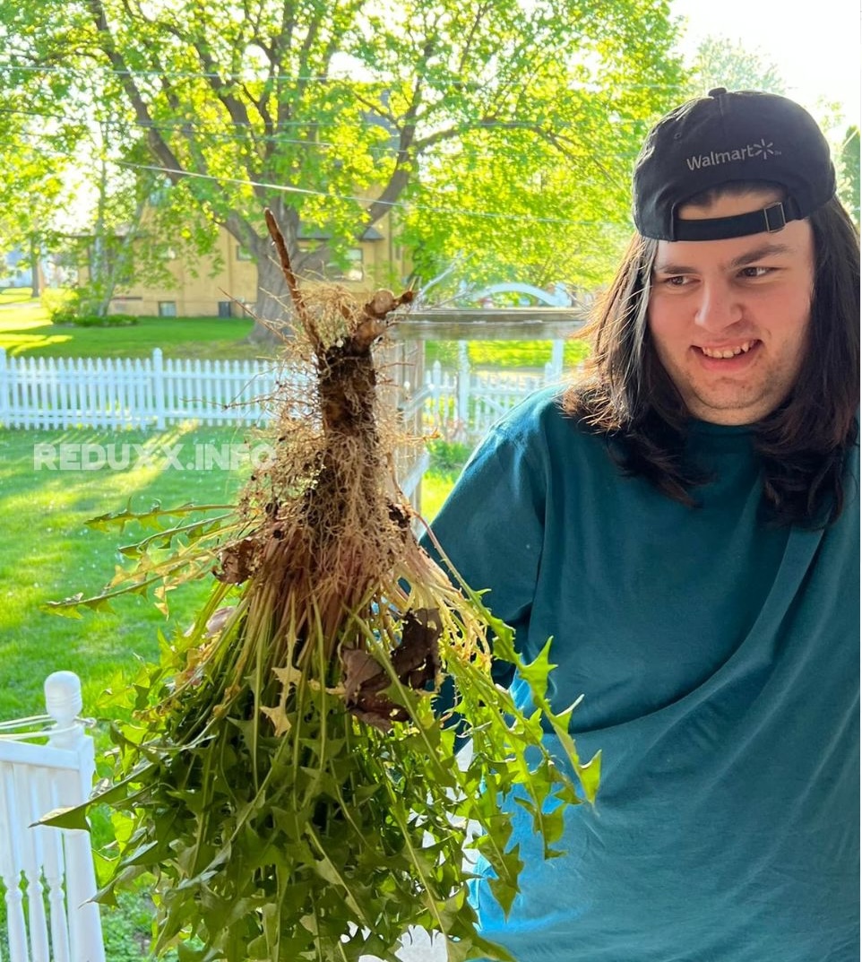 "Antifascist" Trans-Identified Male Arrested For Possession Of Child ...