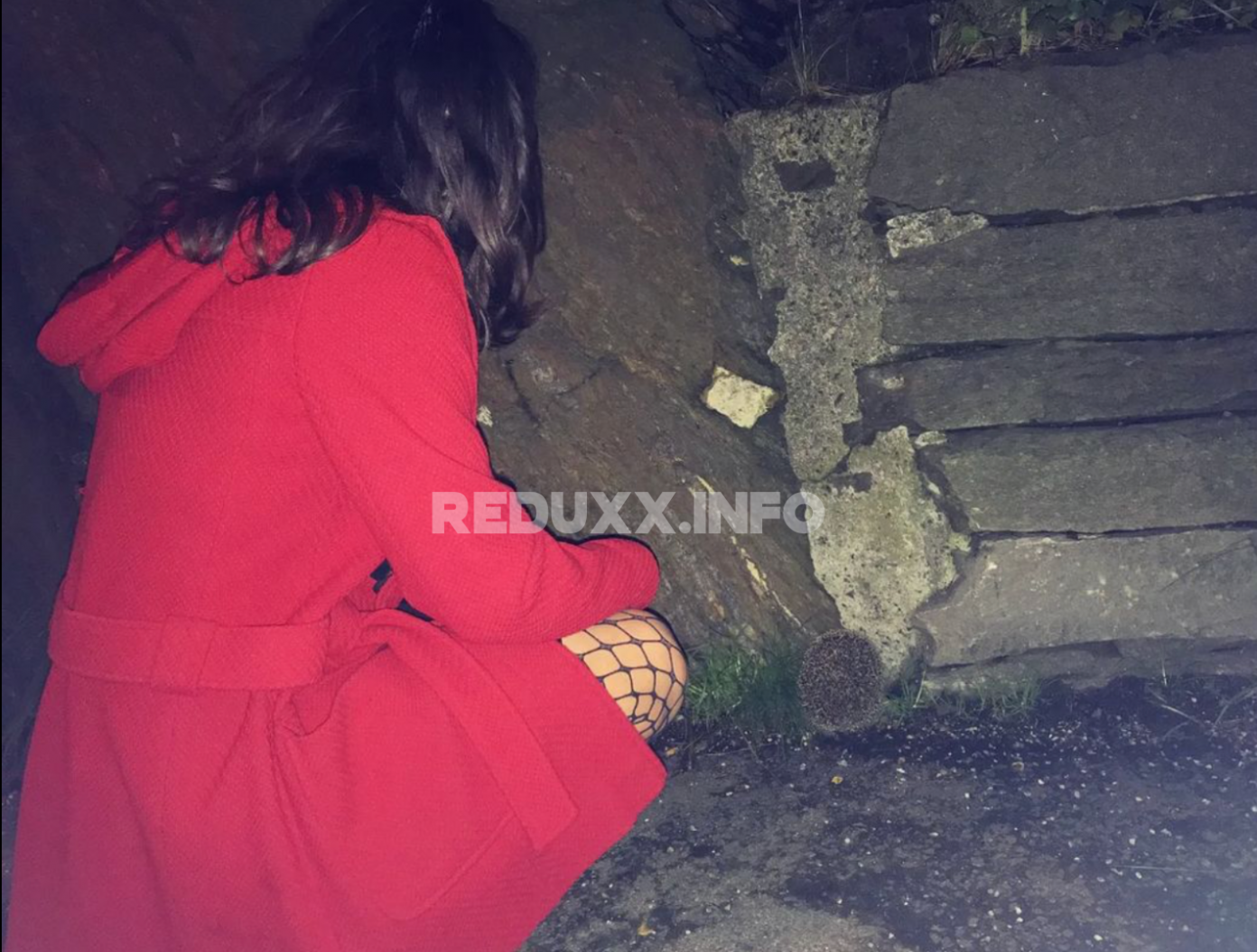 Exclusive Details Trans Identified Male Investigated For Murder Of 8270